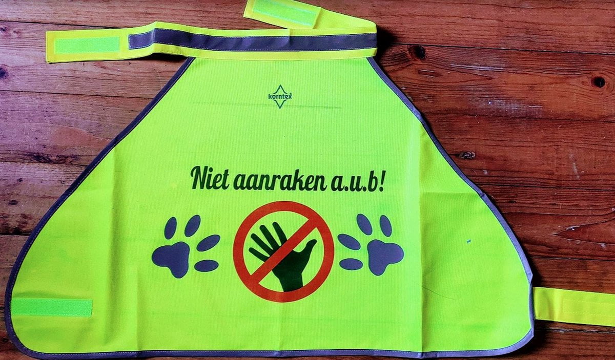 Hond niet aaien: 8 signalen die iedereen zou moeten kennen