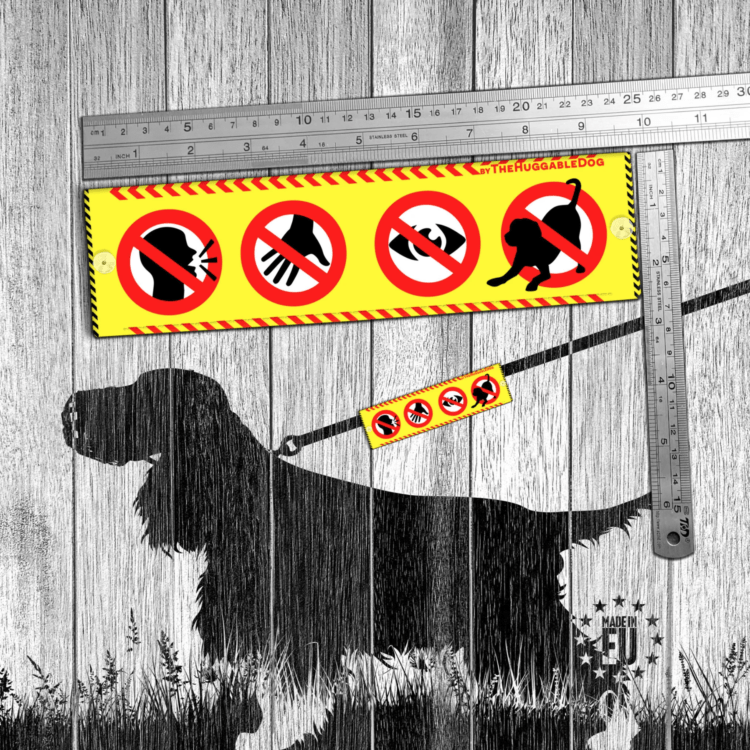 Hond niet aaien: 8 signalen die iedereen zou moeten kennen
